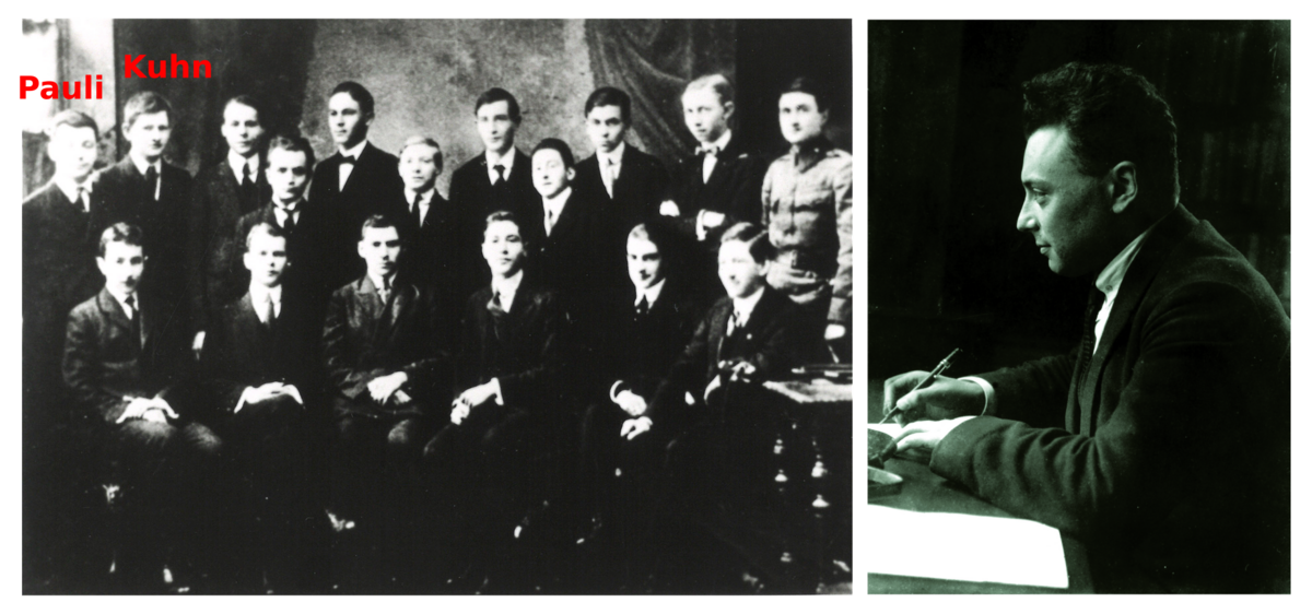 Wolfgang Pauli: The conscience of physics came from Vienna